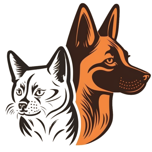 Paid Media LP Layout | Portland Veterinary Hospital